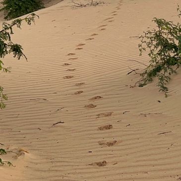 About Us | Malabo Marathon